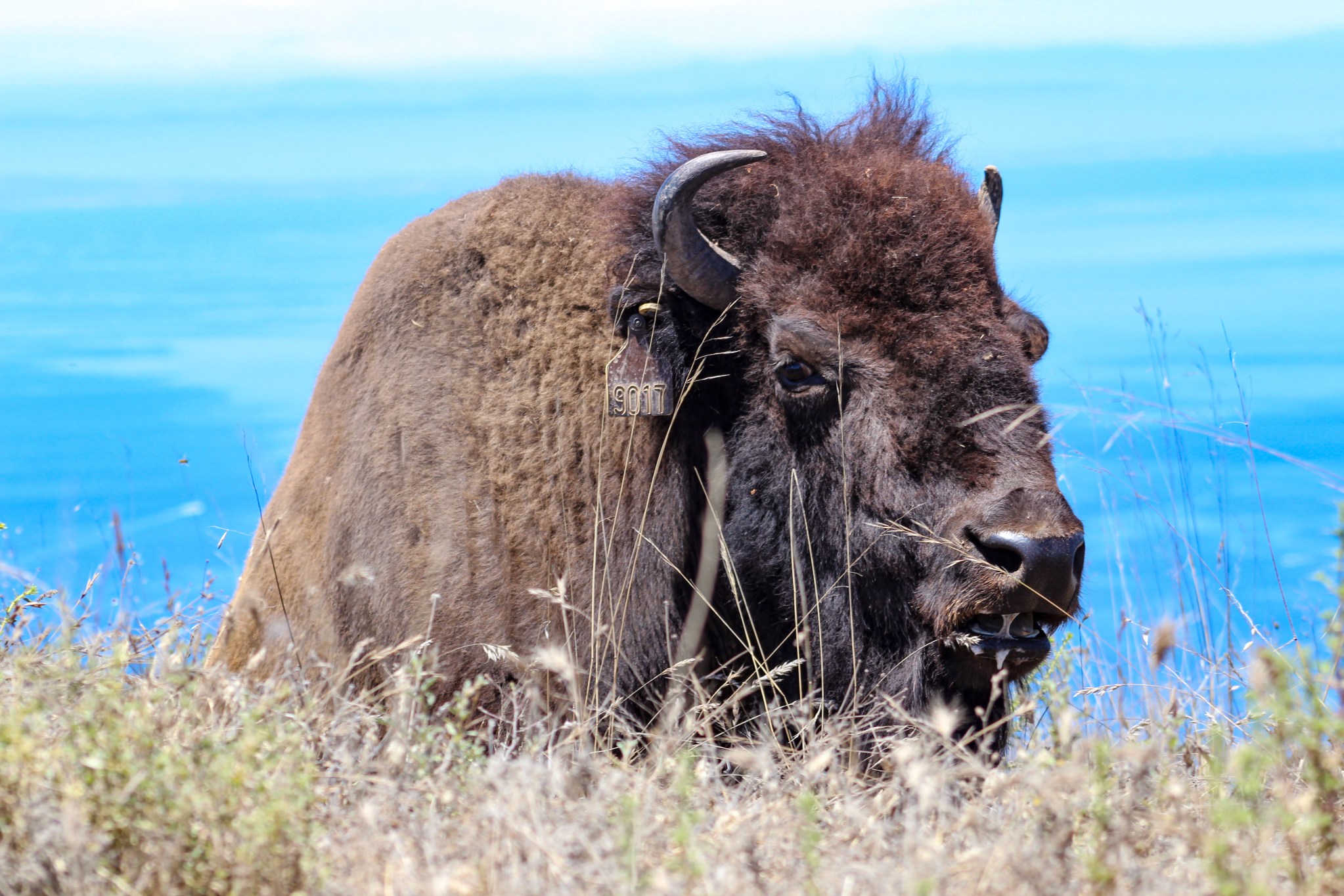 Five Catalina Adventures You MUST Do!